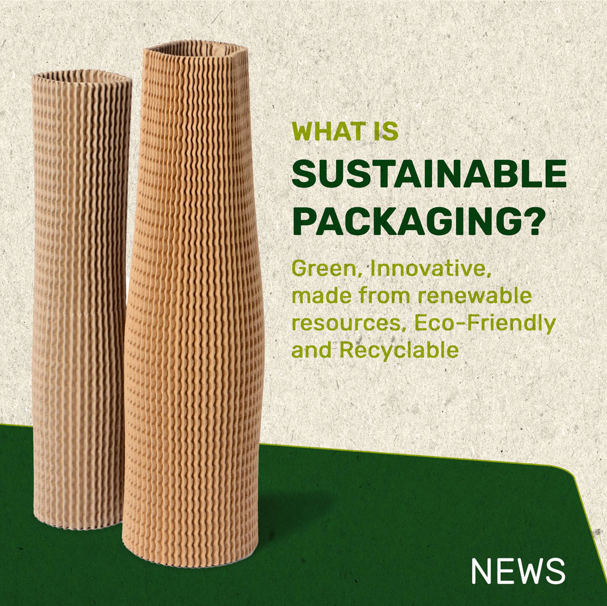 The Ultimate Guide to Sustainable Packaging - BOTTA PACKAGING » eco-packaging solutions
